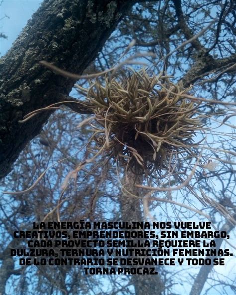 Equilibrio Entre Lo Femenino Masculino Aesthetic Art Art Wallpaper