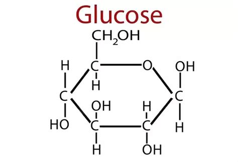 Glucose Chemical Structure Diagram Simple Glucose Structure
