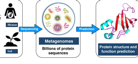 Schematic Picture Of The Pipeline Starting From Metagenomic Samples To Download Scientific