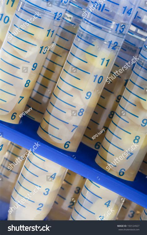 Image Science Lab Containers Stock Photo Shutterstock