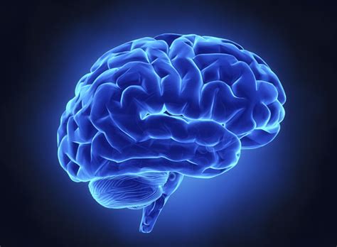 Brain Rna Seq An Rna Sequencing Transcriptome And Splicing Database Rna Seq Blog