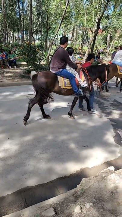 Horseback Riding in Wright Park Baguio City! 🐴🐎🫏 - YouTube