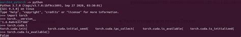 How To Enable Cuda When Installing Pytorch Using Docker Issue