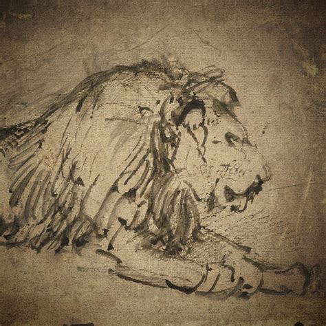 Prowling Lions — Sea Harp
