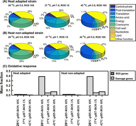 Stressme Unified Computing Framework Of Escherichia Coli Metabolism Gene Expression And