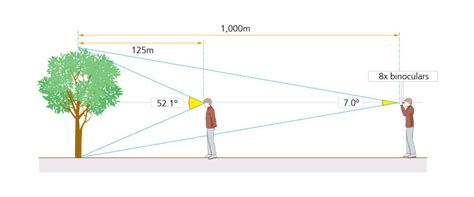 How Do I Know If Binoculars Are Good Binoculars Guides