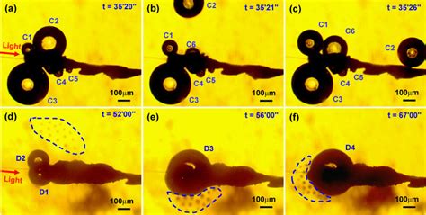 Further Observation About Microbubble Generation After Spectra