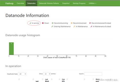 查看hdfs集群状态 Csdn博客