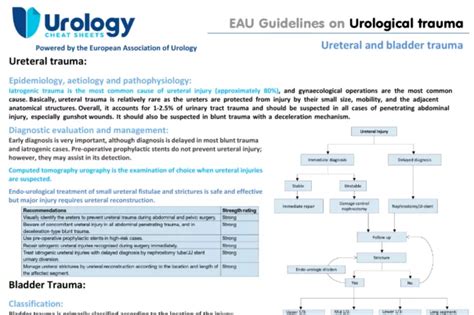 Eau Guidelines On Urological Trauma Uroweb