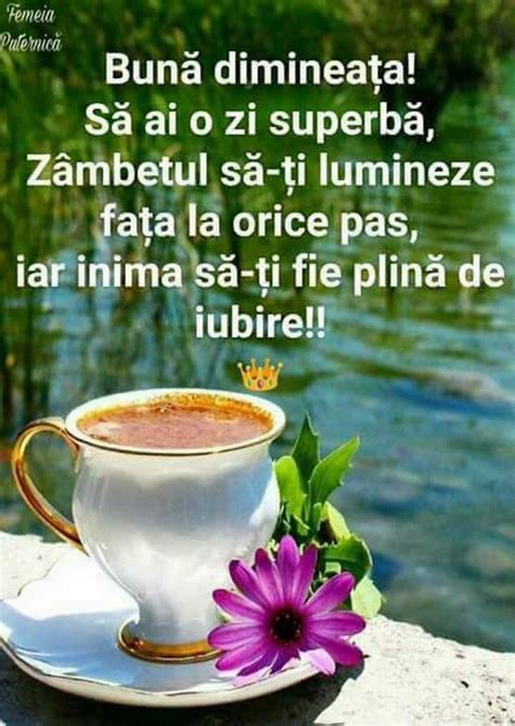 Incredible Poze Cu Buna Dimineata La Cafea Hot Pics Altyazili Porno