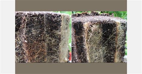 Akash Sethi On Linkedin Biostimulants For Enhanced Plant Resilience