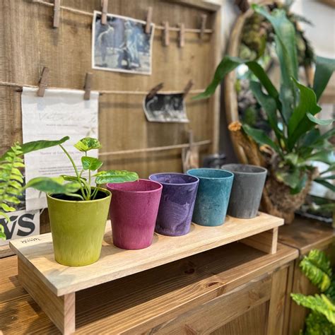 더 맆 2월마지막주 월요일~ 이제 곧 따뜻한봄을 앞두고 있네요 저희 더 맆도 봄맞을준비