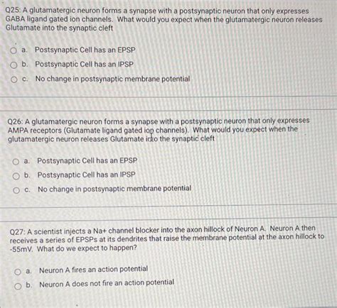 Solved Q25 A Glutamatergic Neuron Forms A Synapse With A