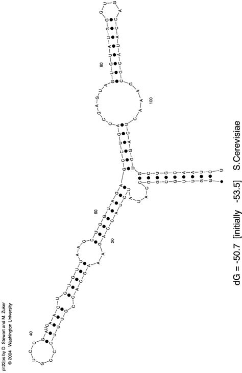 Classic Structure View Of Mfold 2 Prediction Of S Cerevisiae Using