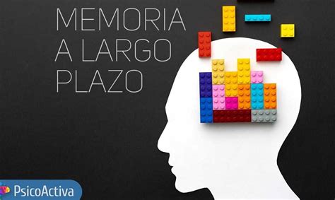 Memoria A Corto Plazo Ejemplos Que Te Sorprenderán Profesionalismo