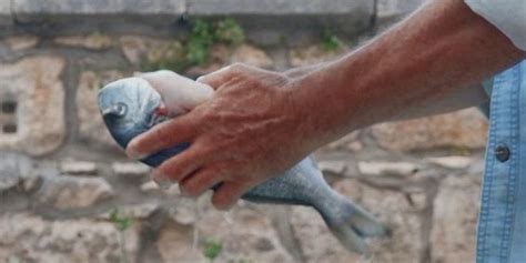 Fotovideo Ne MoŽe Jednostavnije Evo Kako Izabrati I Očistiti Svježu