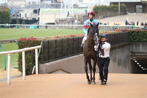 【アヴェラーレ引退】今週の動向（出資馬情報・jra出走特注馬）｜もしも一口馬主で“競走馬育成シミュレーションゲーム“みたいな体験ができたら