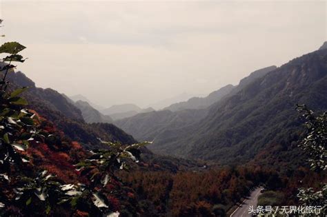 散落在秦嶺頂南坡腳下，那些被人們遺忘的空房子 每日頭條