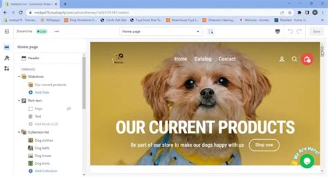 Fix Shopify Bugs Theme Customization Awesome Store Design By