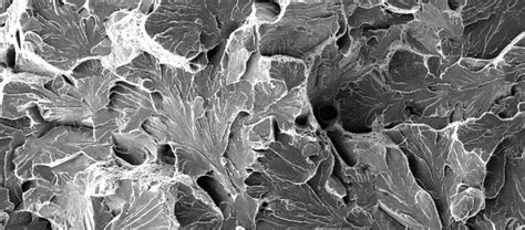 Fractures In The Sem Vgo Inc
