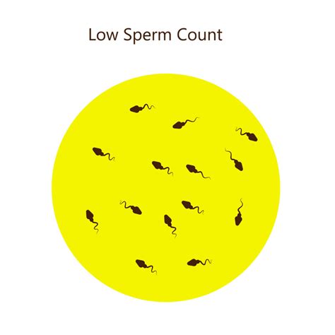 The Science Behind Female Arousal Explained AskMen