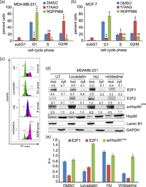 Effect Of Rgfp966 And 17aag On E2f2 Dependent Cell Cycle Regulation