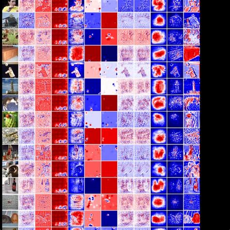 Test Samples From The Tiny ImageNet Dataset The Heatmaps Are Generated
