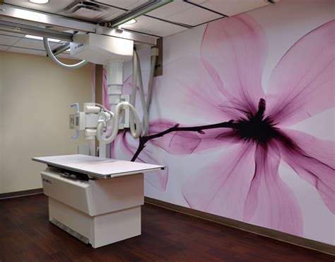 X Ray Room Interior Design Dekorasi Rumah
