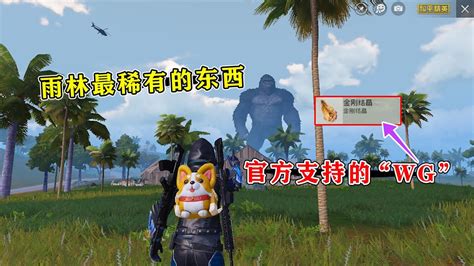 蓝一游戏雨林最稀有的道具捡到它可以实现翻倍移速 YouTube