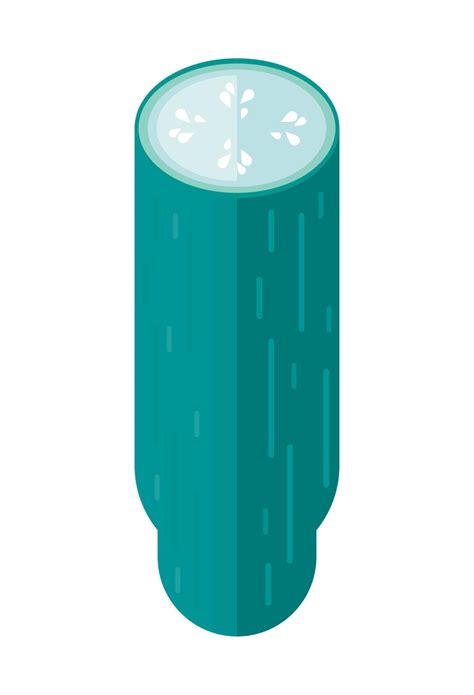 Fresh Cucumber Vegetable 14174970 Vector Art At Vecteezy