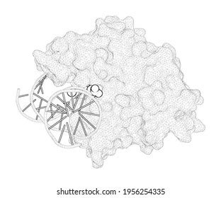 3d Rendering Line Drawing Biological Molecule Stock Illustration