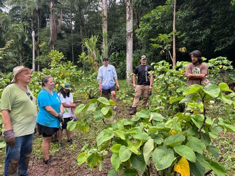 Another Amazing Volunteer Day For The Laylow Team We Joined Forces With Kōkua Kalihi Valley
