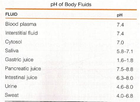 Acid Base Balance And Buffer Systems In The Human Body Flashcards Quizlet