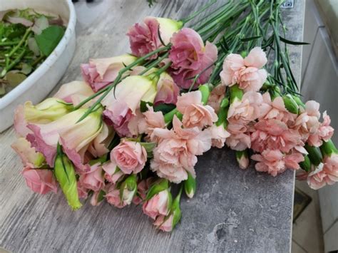 플로리스트 파크 문정 플로리스트바리스타 융합과정 8일차925 네이버 블로그 플로리스트 파크 문정 플로리스트바리스타 융합과정 8일차925 네이버 블로그