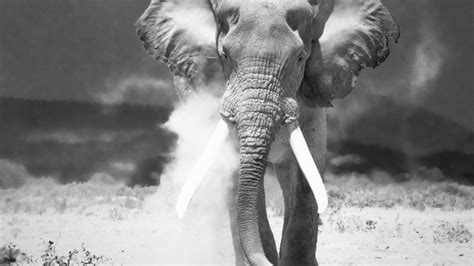 How Do External Wait Events Affect Postgresql Performance