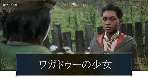 ホグワーツレガシー攻略wiki 神ゲー攻略
