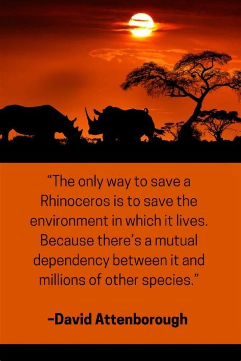Buy The Only Way To Save A Rhinoceros Is To Save The Environment In