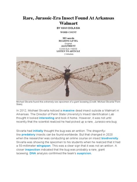 Rare Jurassic Era Insect Pdf