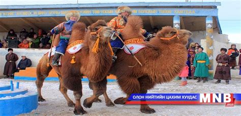 Баянцагаанчууд “Тэмээний баяр” аа тэмдэглэж байна