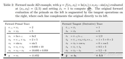 自动微分automatic Differentiation 知乎