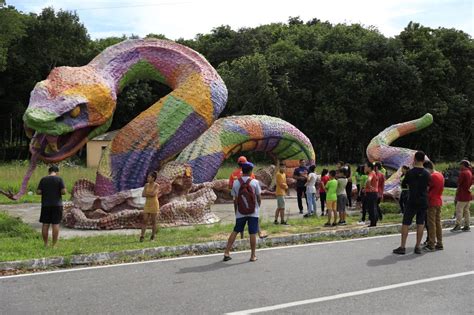 Galeria de arte a céu aberto tem esculturas gigantes em Parintins no