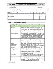 BIOLOGY Exercise A The Cell Eukarytic Bacterial Docx BIO Ex A General Education