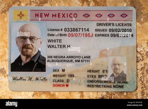 Celebrity Driver License 60 Photos Moonagedaydreamfilm