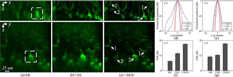 Figure 11 From Compressed Blind Deconvolution And Denoising For Complementary Beam Subtraction