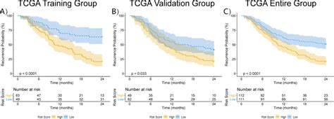 2 Year Dfs Kaplan Meier Curves Of Hcc Patients A 2 Year Dfs