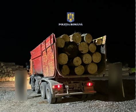 Cercetat Penal Pentru Transport Ilegal De Material Lemnos