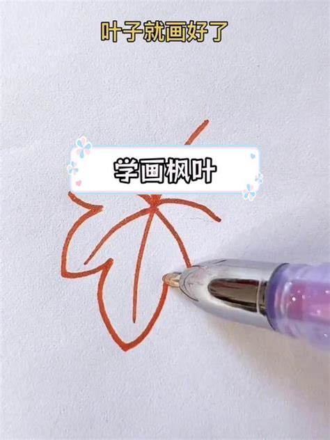 枫叶简笔画大全步骤简单共19张 简笔画图片大全