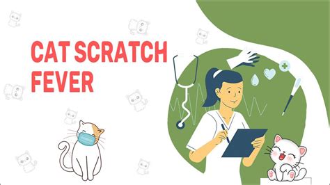 Cat Scratch Fever Causes Symptoms And Treatment Petmoo