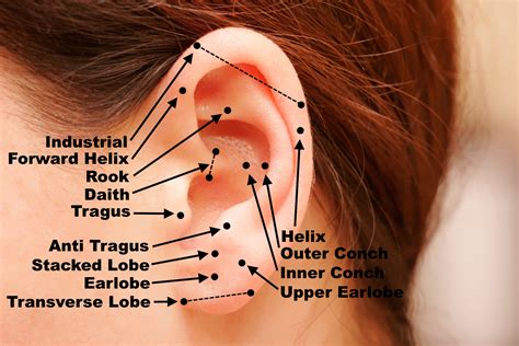 Ear Piercings Discover The Many Styles Piercing Ya