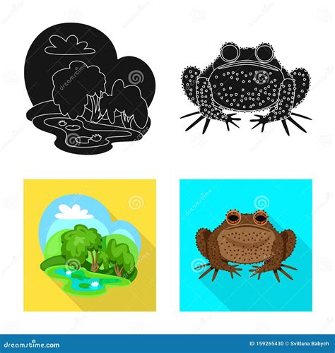 Isolated Object Of Wildlife And Bog Icon Set Of Wildlife And Reptile